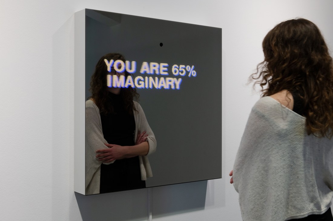 Decisive Mirror - Sebastian Schmieg